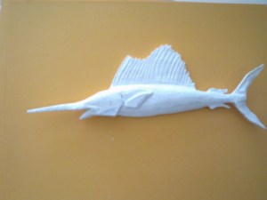 Stages of Life- Sailfish Project | Mon Valley Outdoors