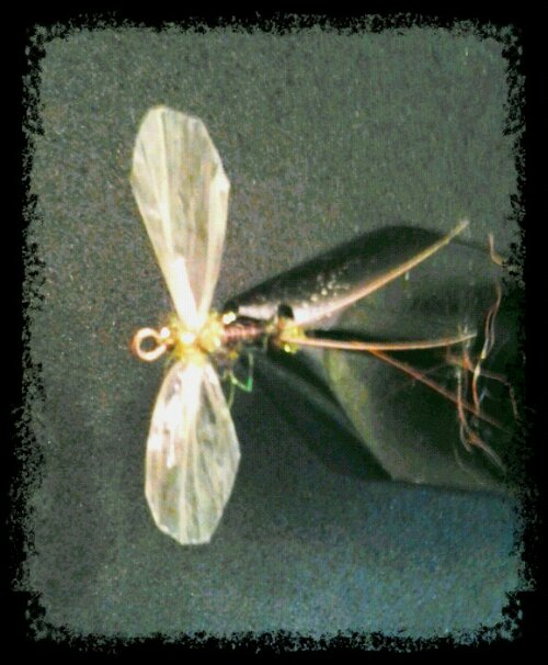 Fun Flies | Mon Valley Outdoors